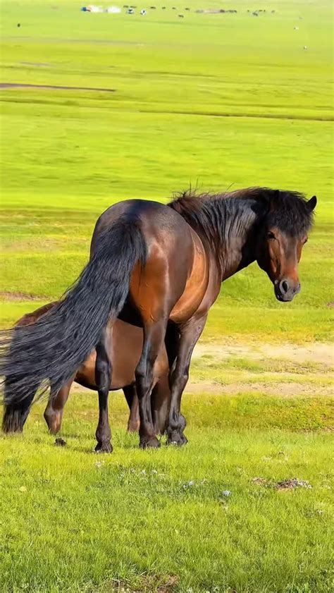 Bilguun Otgonbaatar Алхаж явсан өлсөөд 🥹 Арай л догдолчхож 😬 Instagram