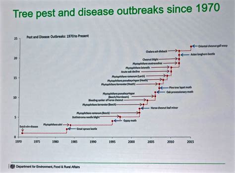 Can The UK Keep Out Tree Diseases A View From Professor Nicola Spence