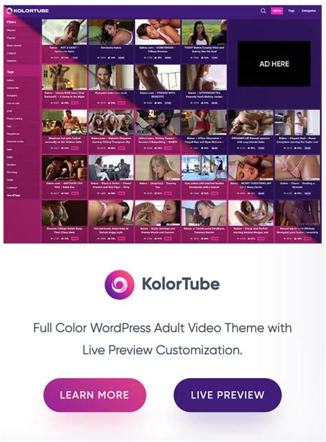 Top WordPress Themes For Adult Websites A Complete Guide For Tubes And Blogs