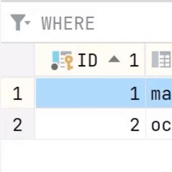 Introduction To Hibernate JPA Tutorial JetBrains Guide