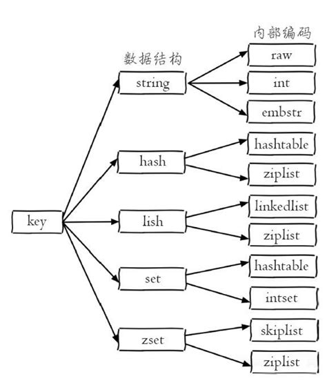 Redis数据结构与全局命令概述4返回键mylist的数据类型 Csdn博客