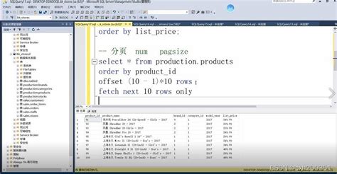 Sql查询技巧：分页、通配符与模糊匹配 Csdn博客