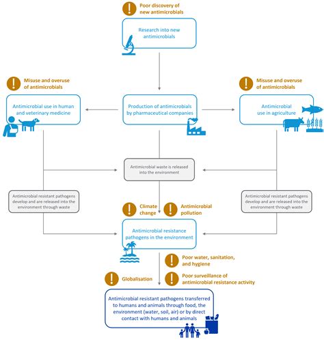Antimicrobial Resistance The Silent Global Pandemic Australian Medical Association