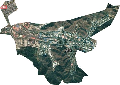 榆树街道高清卫星地图 Bigemap Pro数据要素设计软件ded