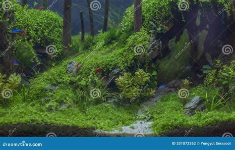 Photo Manipulation Of Garden Decoration And Underwater Plants Imitating