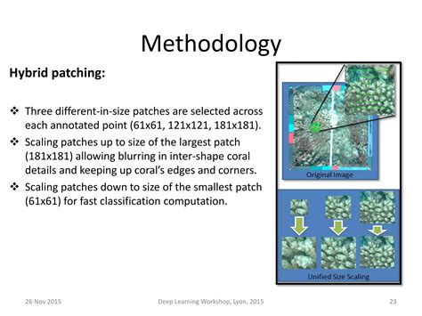 Underwater Sparse Image Classification Using Deep Convolutional Neural Networks Pdf