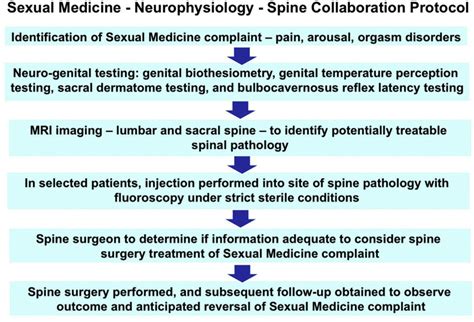 Collaborative Protocol Used To Restore Sexual Health In Patients With Download Scientific