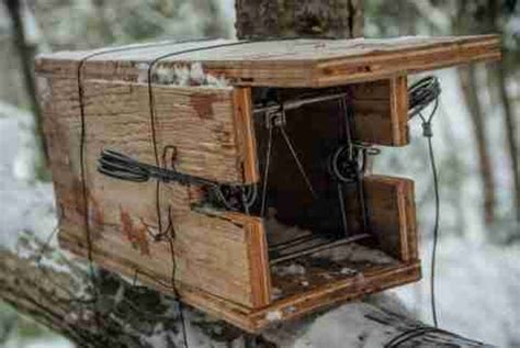 Hunting Traps What Is Trapping Best Gear Tips And More Hookers And Holsters