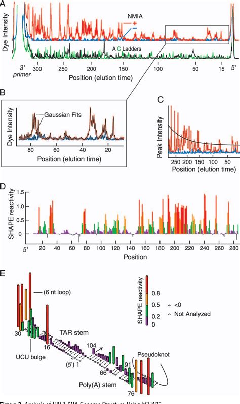 Figure 2 From High Throughput Shape Analysis Reveals Structures In Hiv