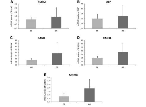 Relative Expression Levels Of A Runx2 B Alp C Rank D Rankl And E Download Scientific Diagram