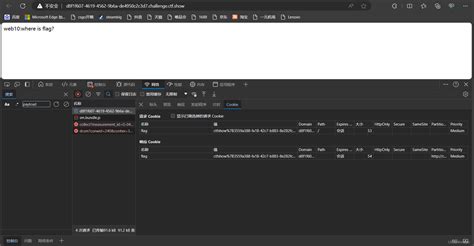 ctf show web入门 web10 csdn博客