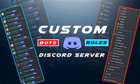 setup a custom discord server professionally by raqozid fiverr