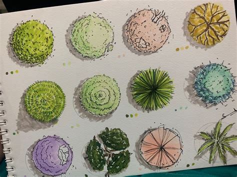 Architectural Tree Rendering Tips 2022 Howtodrawtree Architect