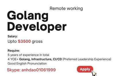 Vo Dao On Linkedin Senior Golang Developer