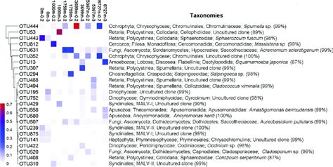 Heatmap Of Abundant Otus Of The 12 Samples Abundant Otu Refers To Download Scientific