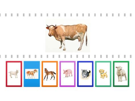 Домашние животные 2 Найди пару