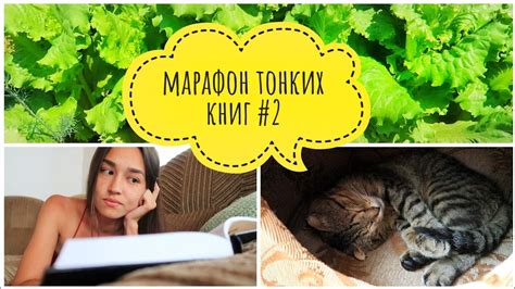 МАРАФОН ТОНКИХ КНИГ 📚 СЮЗАННА КЛАРК Youtube