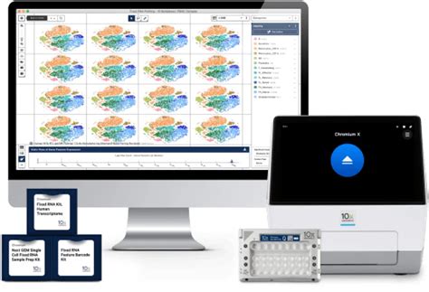 Chromium Decision Tool 10x Genomics