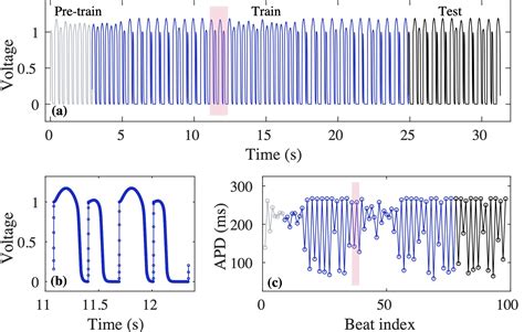 Shahrokh Shahi Our New Paper — Autoencoder Echo State Network Ae Esn