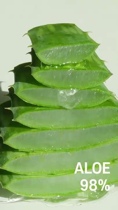 참존 알로에 수딩 미스트 영상 비건 유기농 알로에베라추출물 98 Youtube