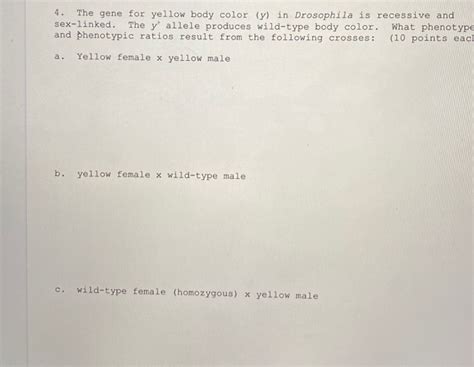 Solved The Gene For Yellow Body Color Y In Drosophila Is