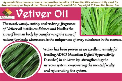 Health benefits of Vetiver essential oil | Essential Oil
