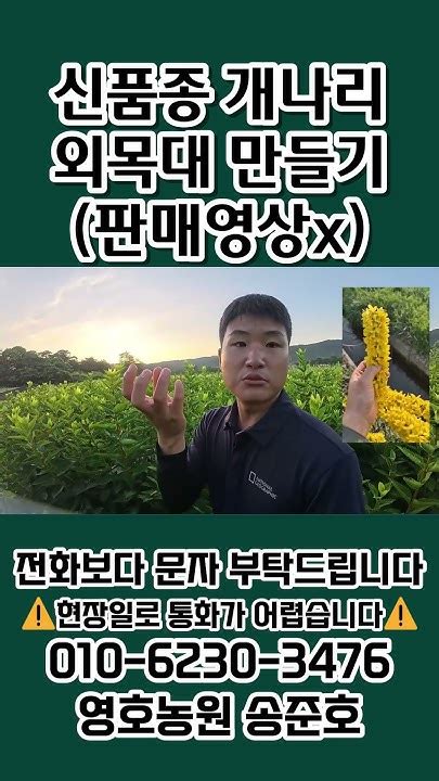 외목대 나무는 어떻게 만들까 Youtube