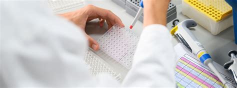 Vibbe Research And Impact