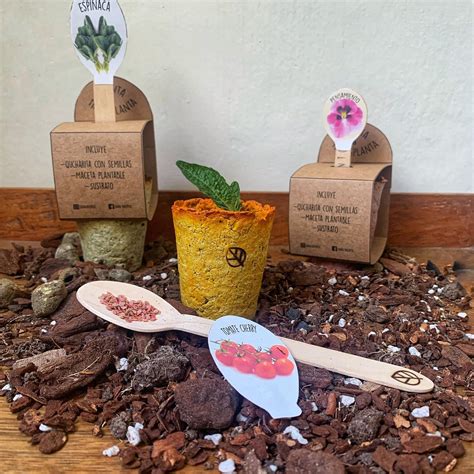 Qura Huertos ¿sabías Que Las Macetas De Nuestro Kit Planta