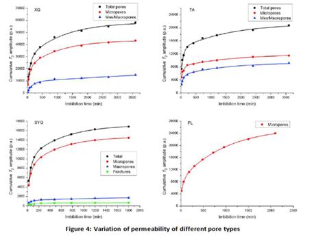Nmr Reveals The Dynamic Self Permeability Process Niumag Corporation