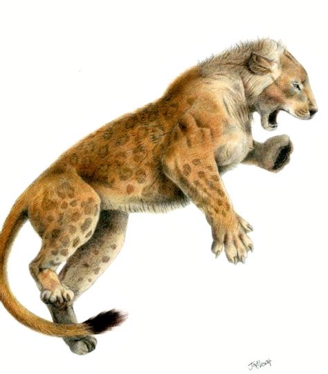 Extinct Cave Lion