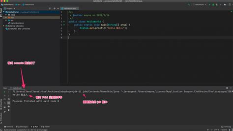 Java Hello World Wayne