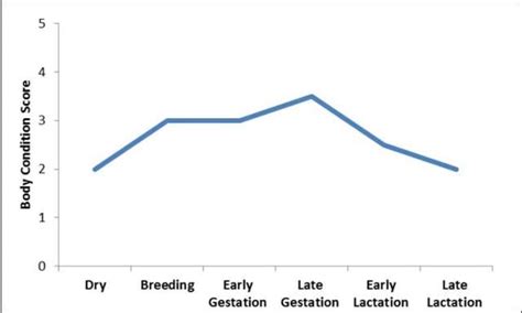 Goatvet Goatvetoz Recommends Condition Scoring Of Goats To Monitor Nutrition An Example Of