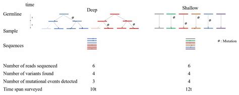 Using Deep Or Shallow Sequencing For Detection Of Mutational Patterns
