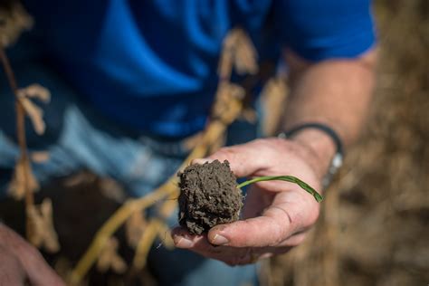 Ways To Now Measure Your Soil Health AGDAILY