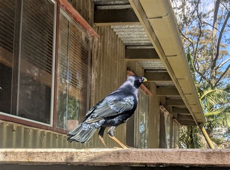 Elle Cee Eff Elle Cee Eff Added Photos To The Album Facebook