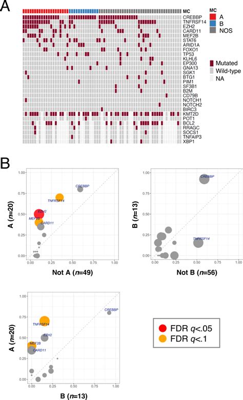 fl subtypes show distinct dna mutation patterns a dna co mutation plot download scientific