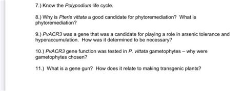 Solved 7 Know The Polypodium Life Cycle 8 Why Is Pteris