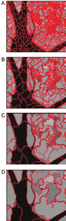 Segmented Objects At All Levels Except Level 1 Scale Level 1 Is Not