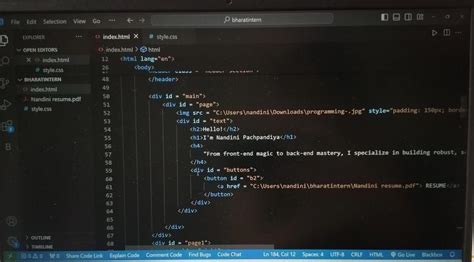 Portfolio Html Css Internship Nandini Pachpandiya