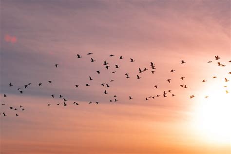 Introduction To Privacy Preserving Ai And Analytics By Maxime Sarus