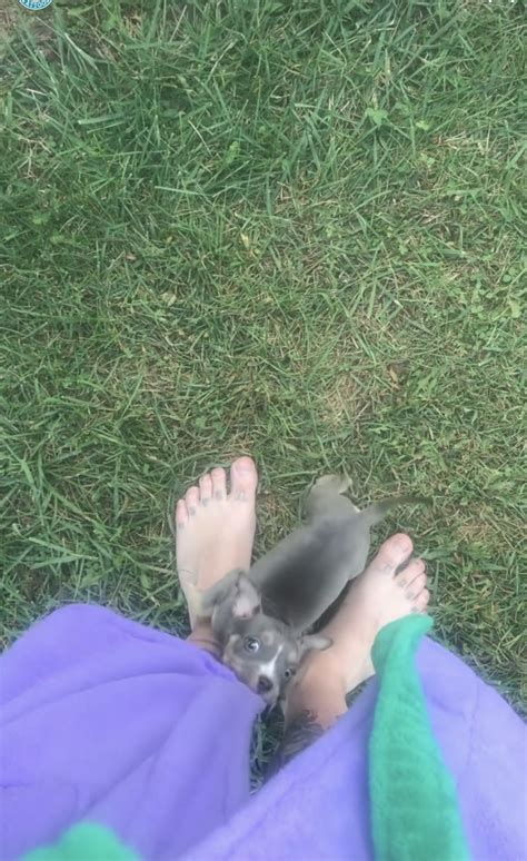 Creepy Jasons Feet