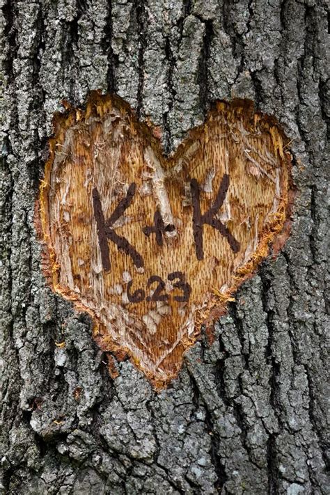 Carved Initials And Wedding Date On Tree