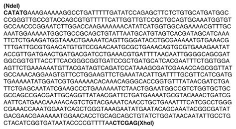 Figure R1 Sequence Of The Codon Optimized Gene For 4hpad Ae From C