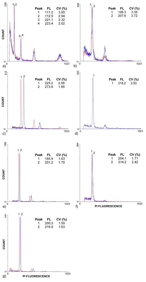 3 1 Histograms Of Relative Fluorescence Intensities PI Fluorescence Download Scientific