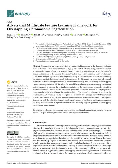Pdf Adversarial Multiscale Feature Learning Framework For Overlapping Chromosome Segmentation