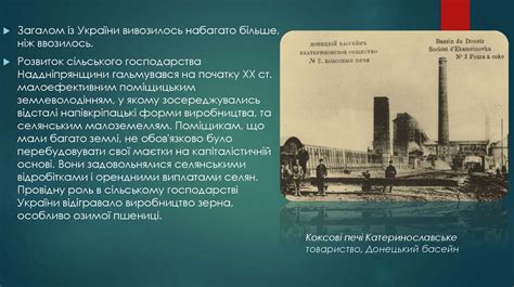Особливості соціально економічного розвитку Наддніпрянщини та Західної України на початку ХХ ст