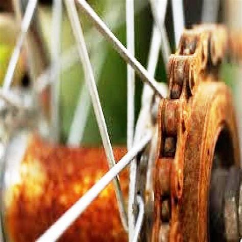 Corrosion Detection Instance Segmentation Model By Hemanand