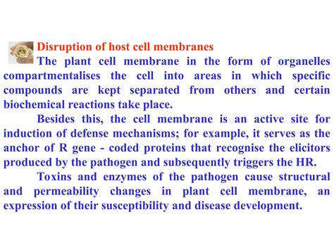 Biochemical Basis For Plant Disease Resistance Ppt