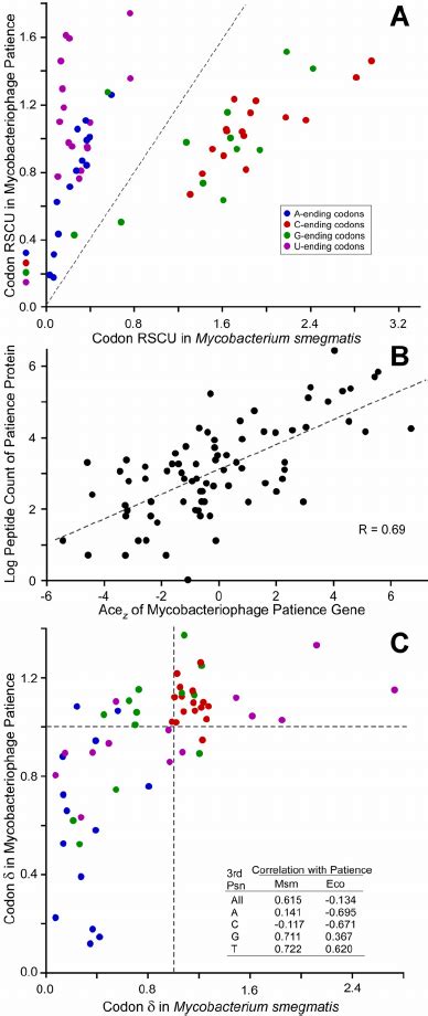 codon usage and codon selection in mycobacteriophage patience a download scientific diagram